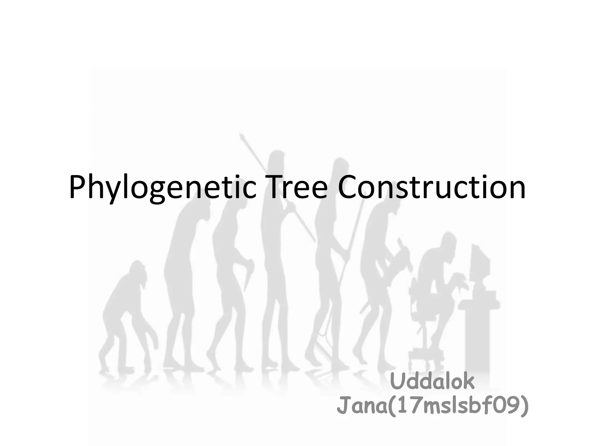 Phylogenetic tree construction | PPTX
