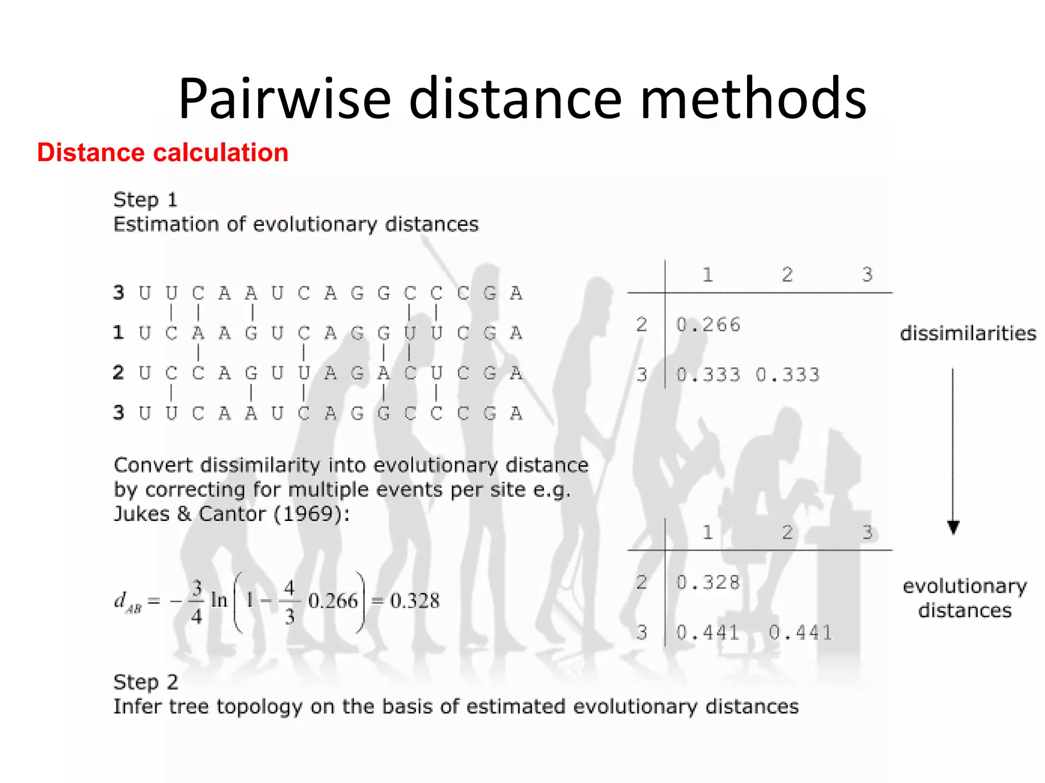 Phylogenetic tree construction | PPTX