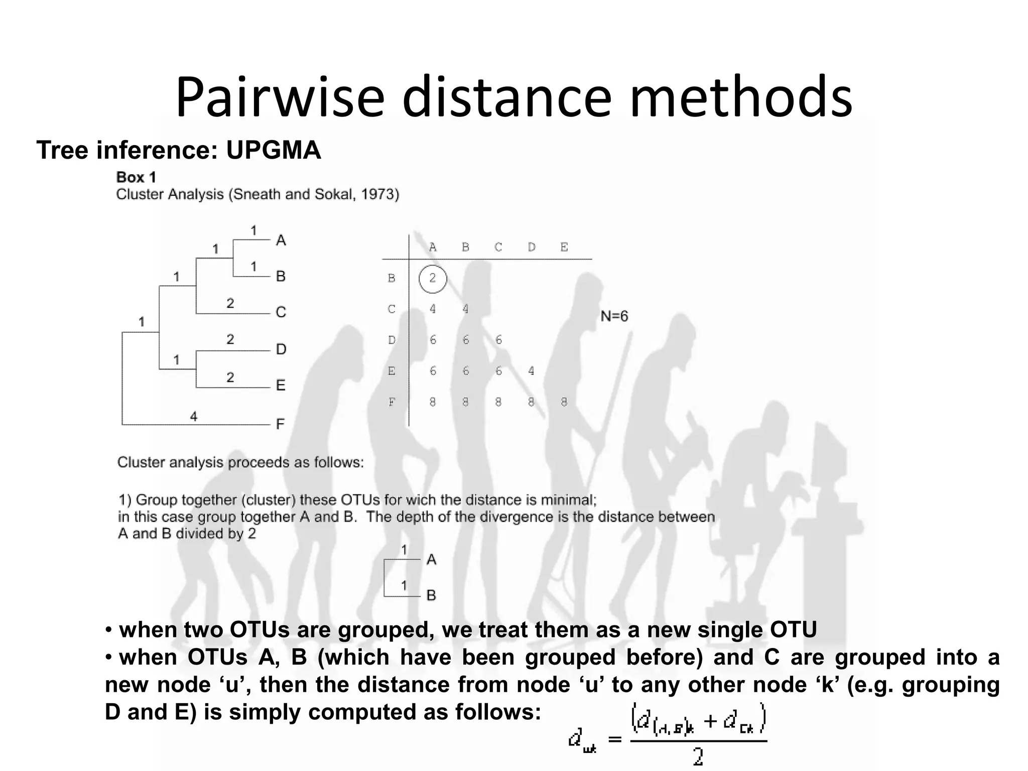 Phylogenetic tree construction | PPTX