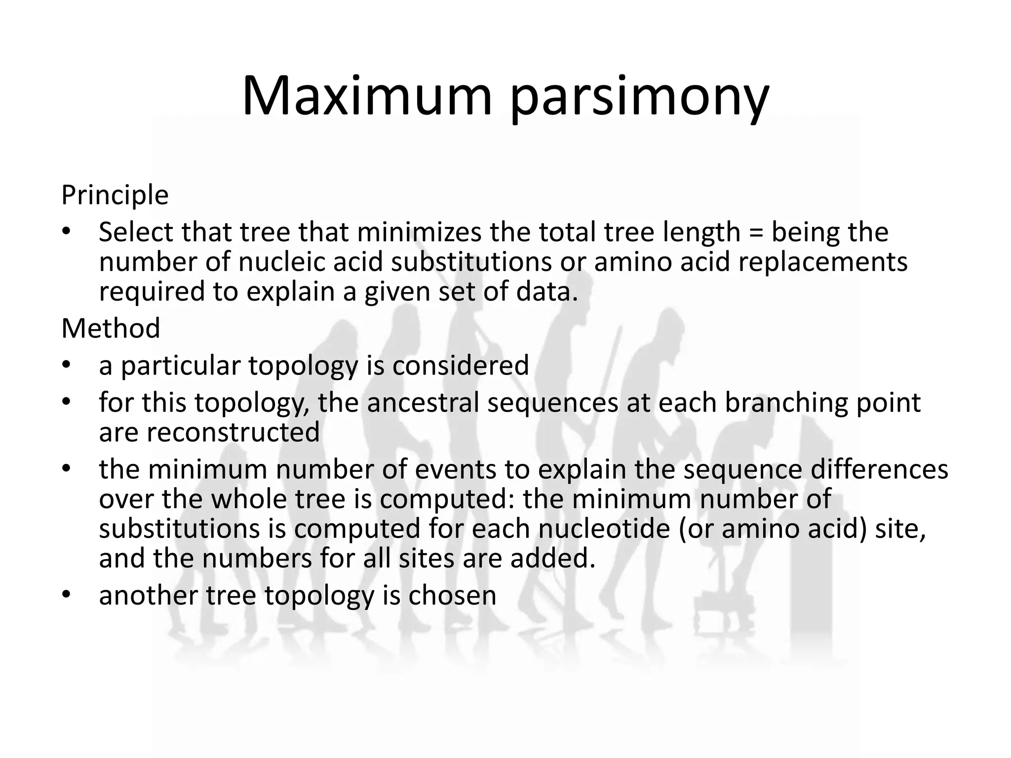 Phylogenetic tree construction | PPTX