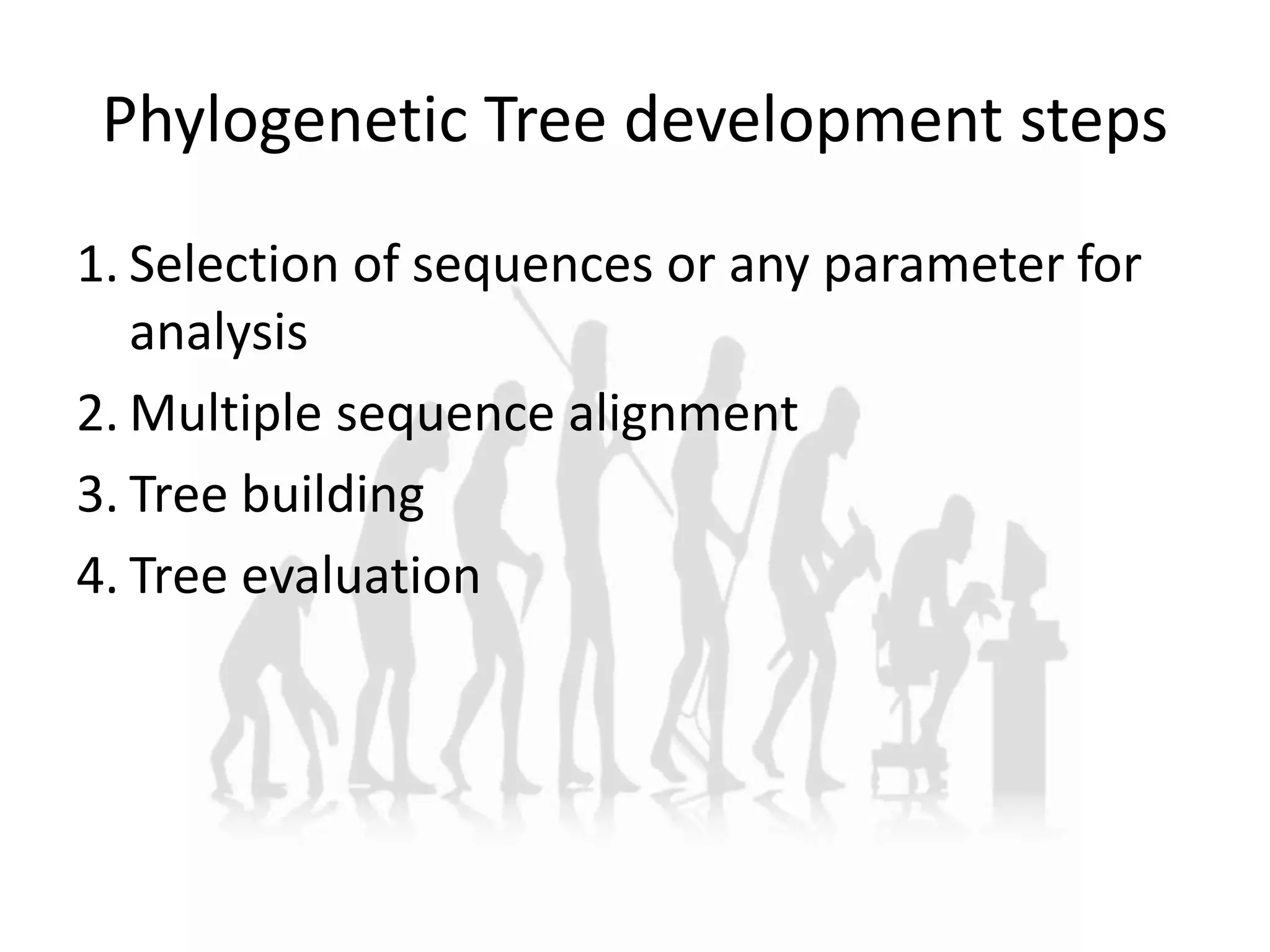 Phylogenetic tree construction | PPTX