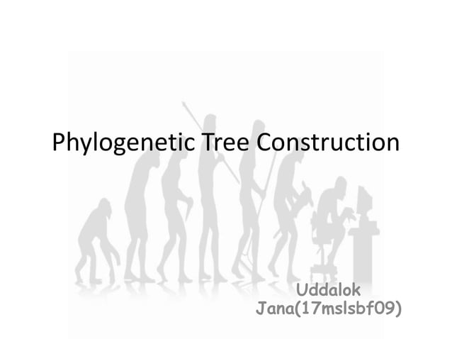 Phylogenetic tree construction | PPTX
