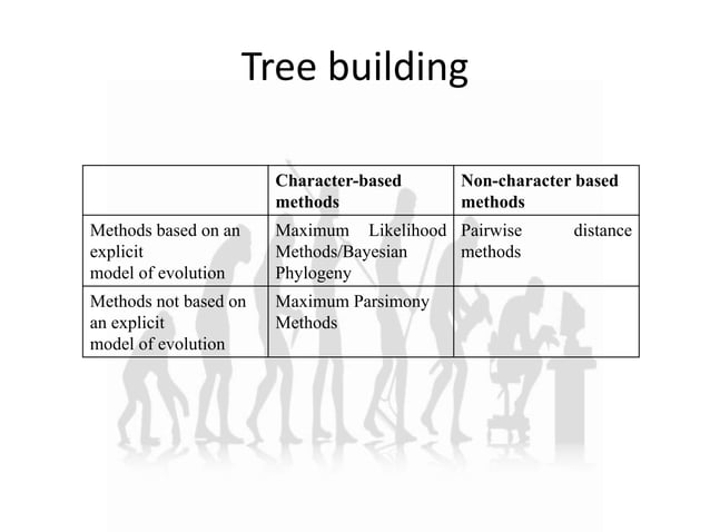 Phylogenetic tree construction | PPTX