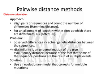 Phylogenetic tree construction | PPTX
