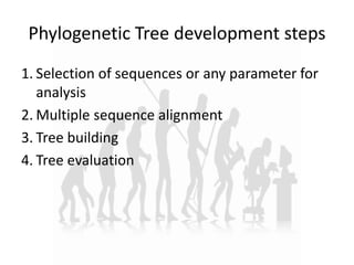 Phylogenetic tree construction | PPTX