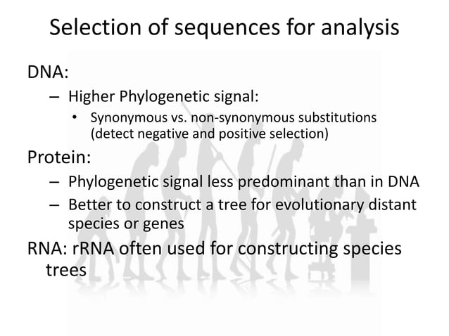 Phylogenetic tree construction | PPTX