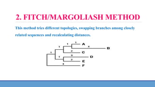 PHYLOGENETIC TREE CONSTRUCTION.pptx