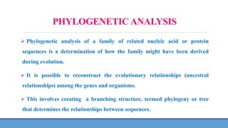 PHYLOGENETIC TREE CONSTRUCTION.pptx