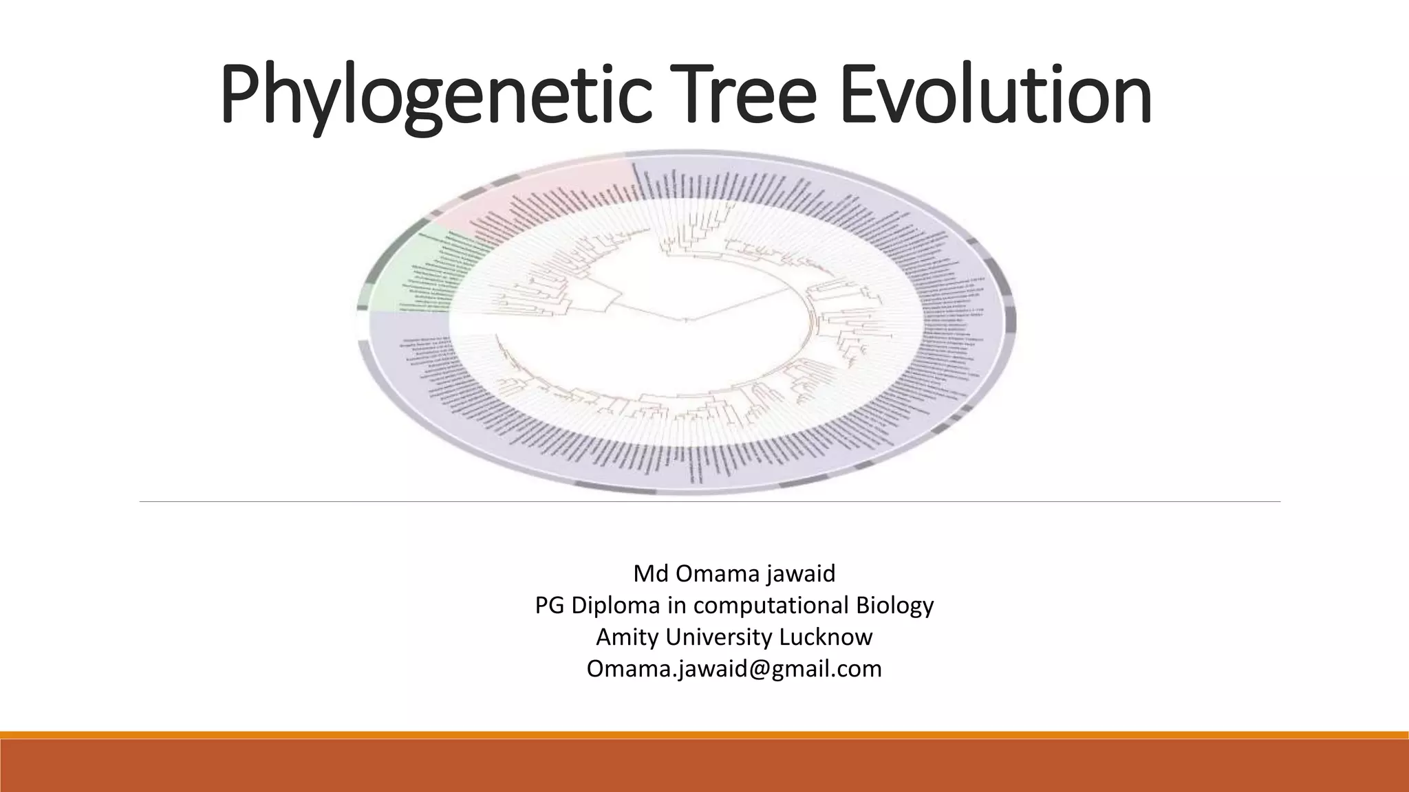 Phylogenetic Tree evolution | PPTX