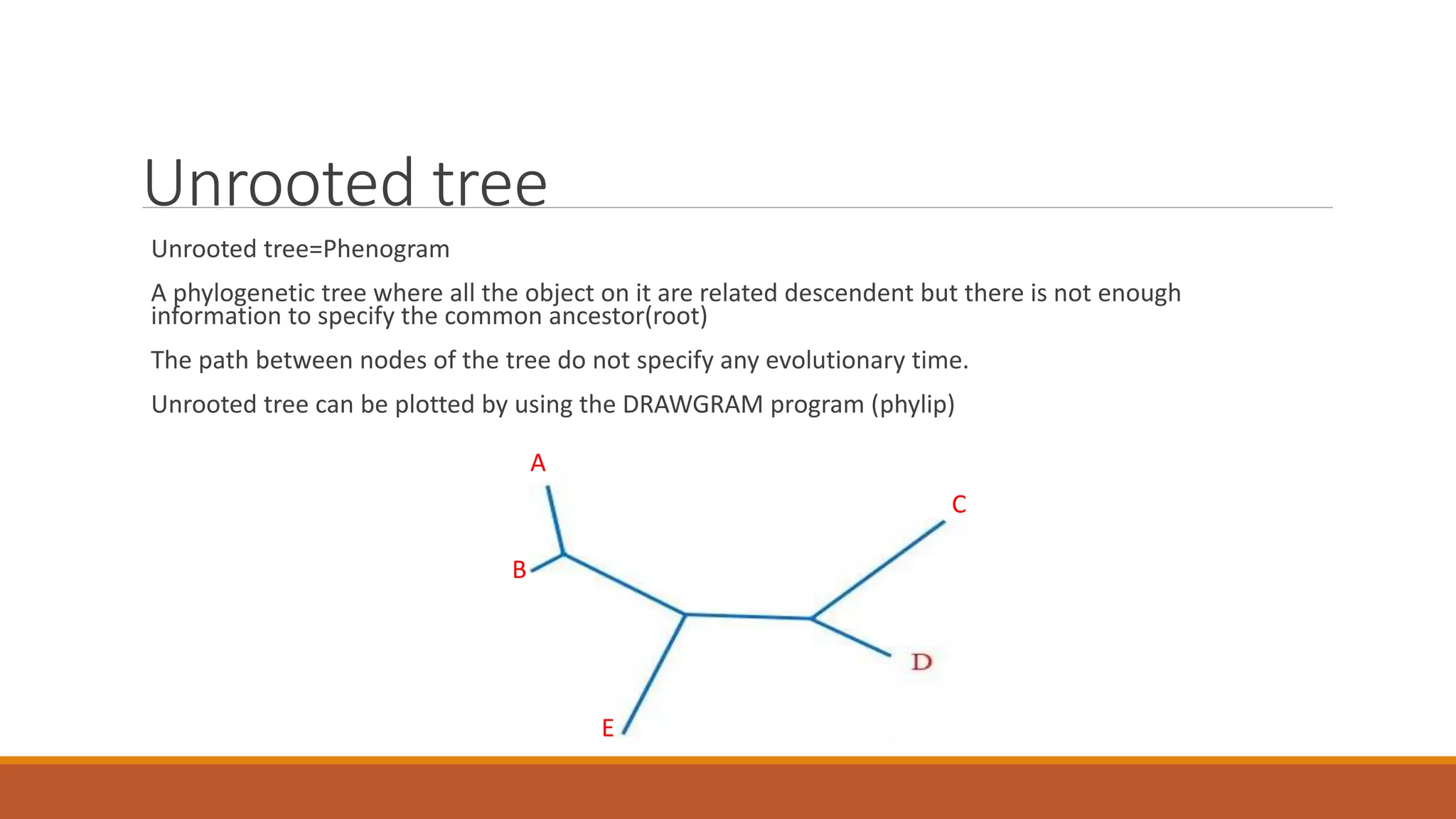 Phylogenetic Tree evolution | PPTX