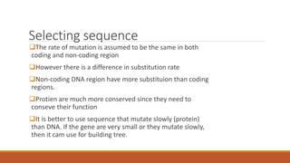 Phylogenetic Tree evolution | PPTX