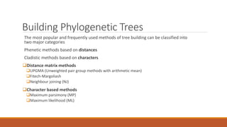 Phylogenetic Tree evolution | PPTX