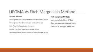 Phylogenetic Tree evolution | PPTX