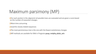 Phylogenetic Tree evolution | PPTX
