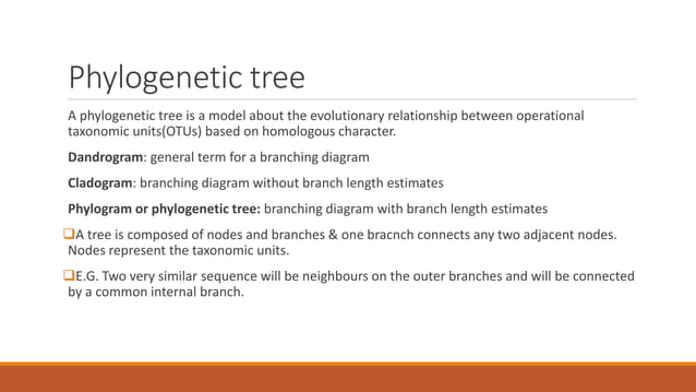 Phylogenetic Tree evolution | PPTX | Biological Sciences | Science