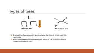 Phylogenetic Tree evolution | PPTX