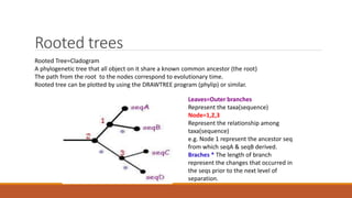 Phylogenetic Tree evolution | PPTX