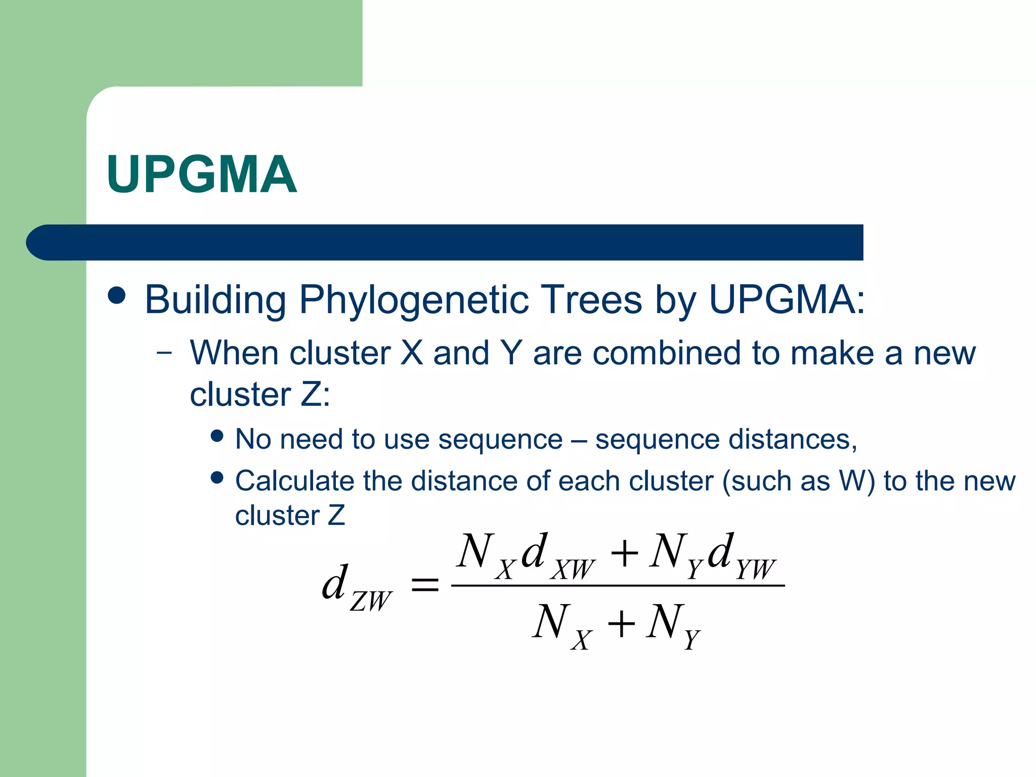 Phylogenetic trees | PPT