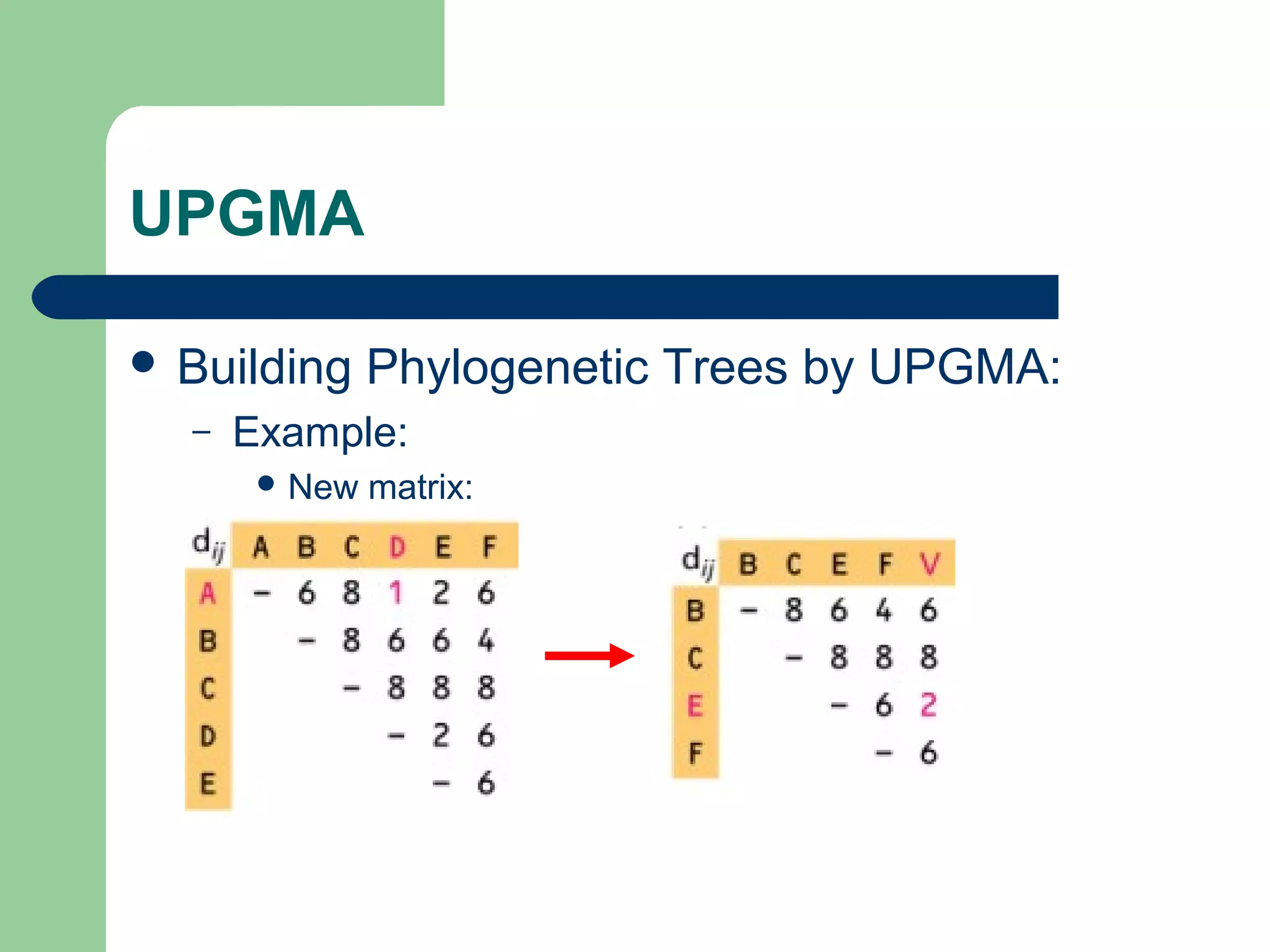 Phylogenetic trees | PPT