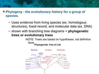 genbio2phylogenetic_trees_cladograms.ppt