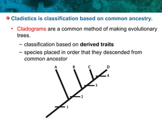 genbio2phylogenetic_trees_cladograms.ppt