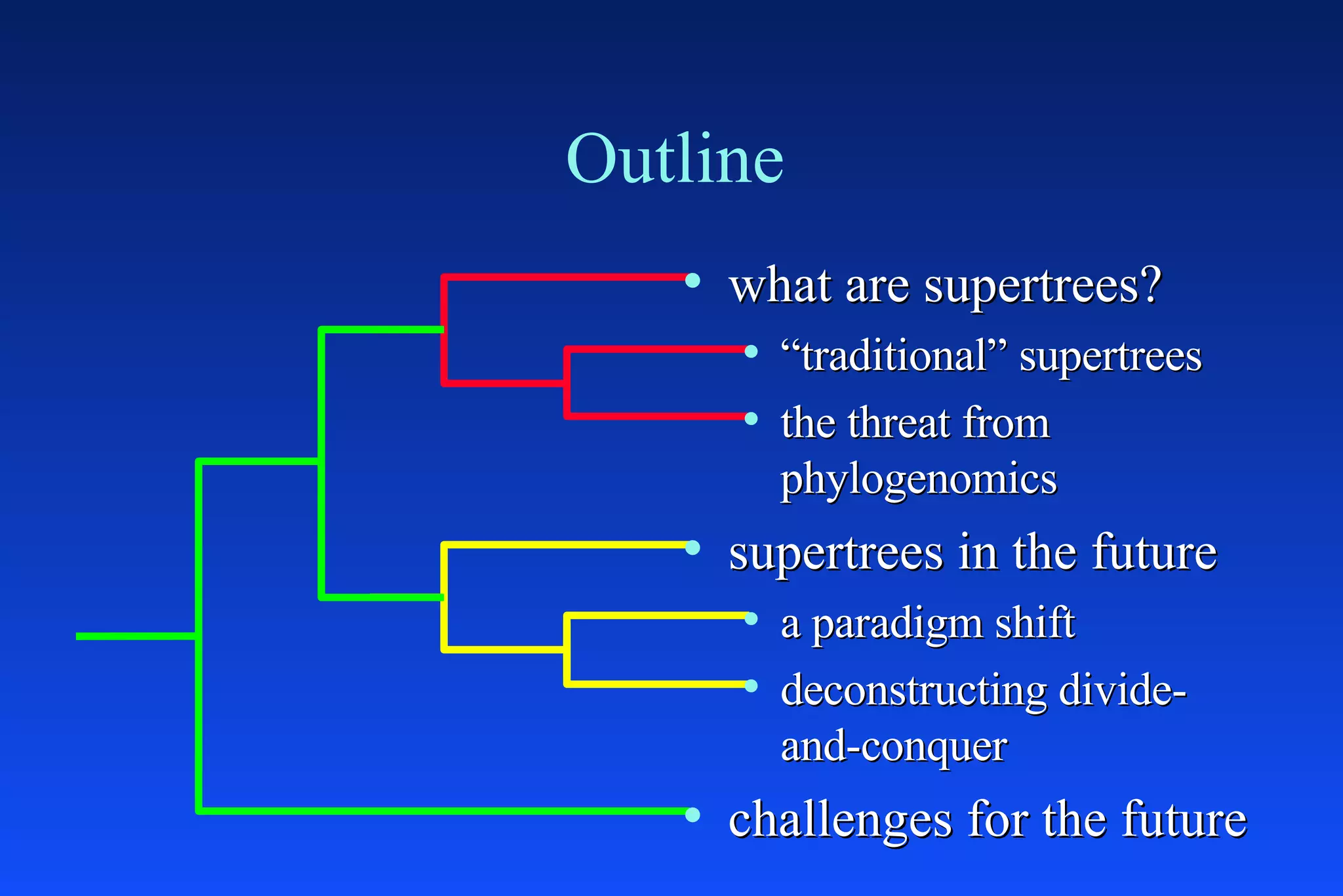 Phylogenomic Supertrees. ORP Bininda-Emond | PPT
