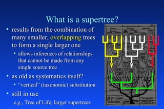 Phylogenomic Supertrees. ORP Bininda-Emond | PPT | Computer Software ...