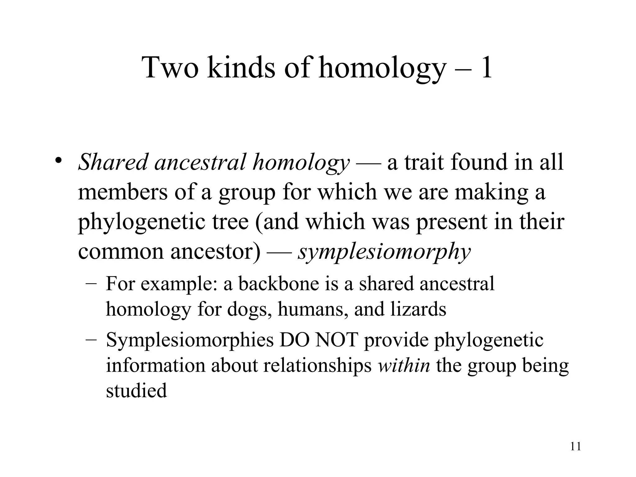 Phylogeny | PPT