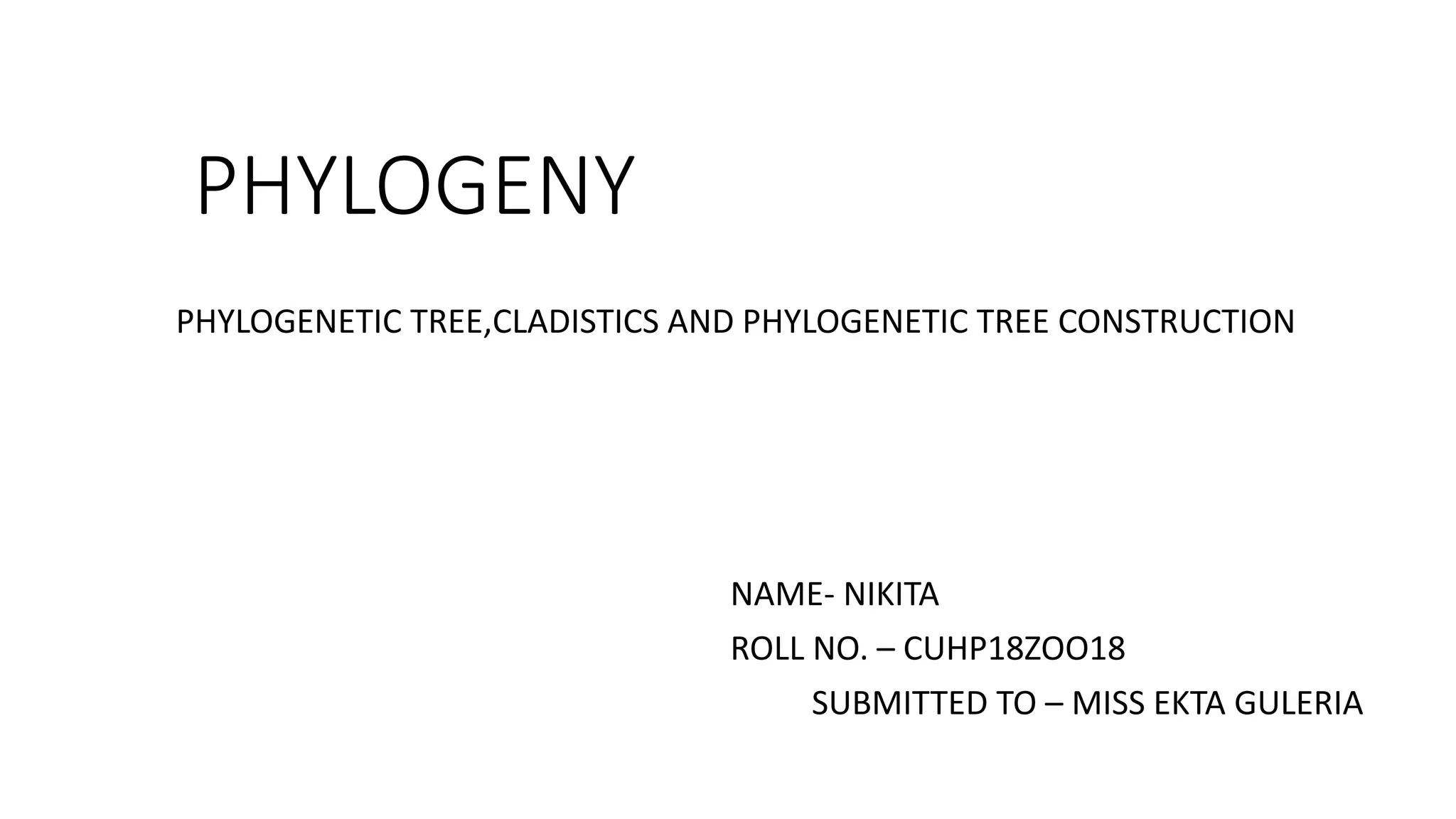 Phylogeny | PPTX