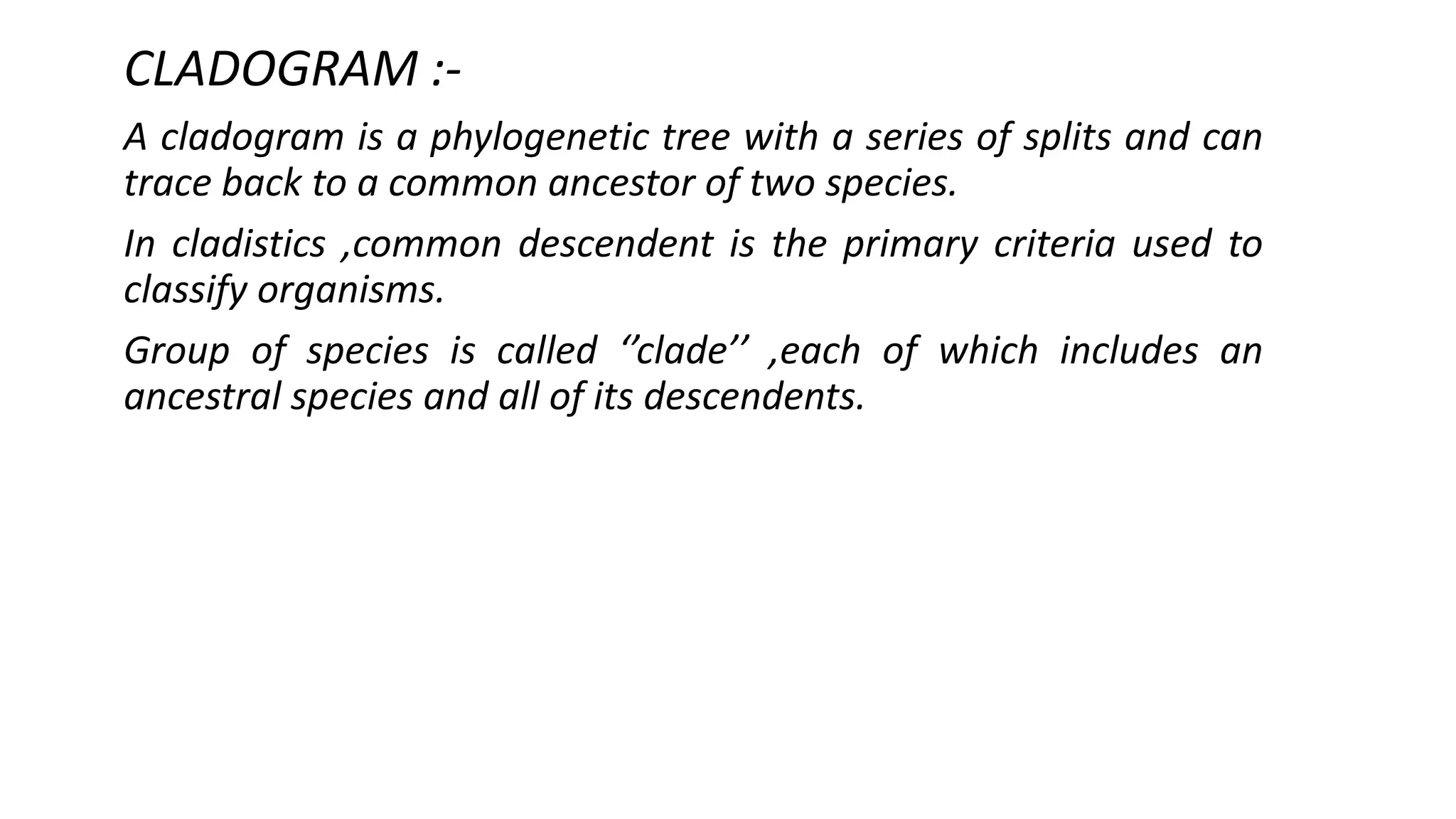 Phylogeny | PPTX