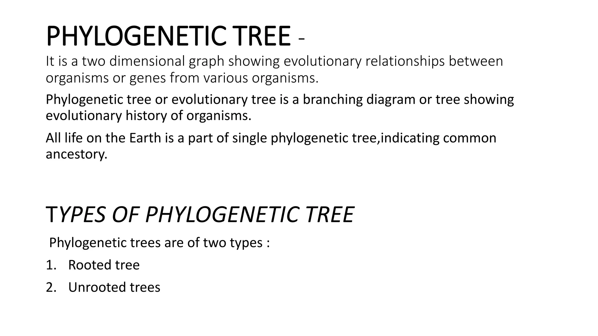 Phylogeny | PPTX
