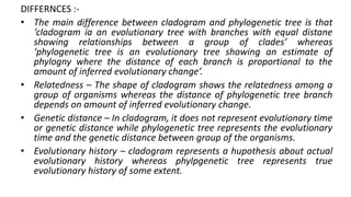 Phylogeny | PPTX