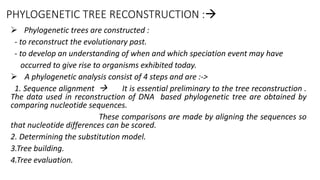 Phylogeny | PPTX