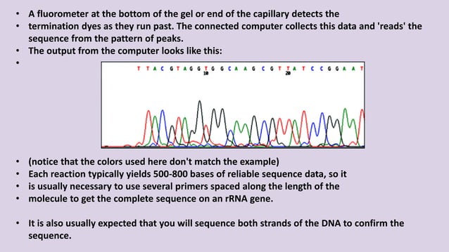 phylogeny with modern methods explanation with examples | PPT