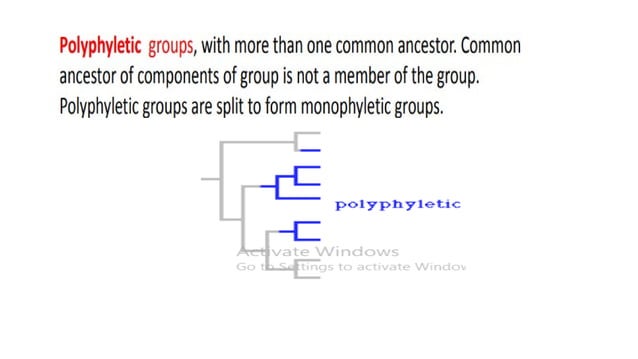 phylogeny........................................pptx