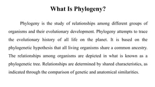 phylogeny........................................pptx
