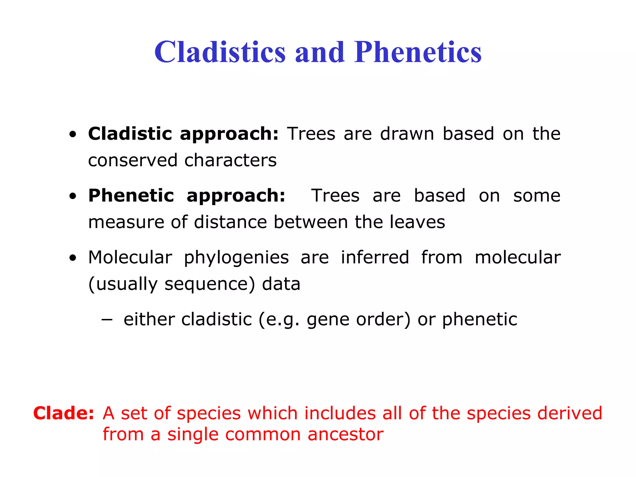 Phylogeny-Abida.pptx