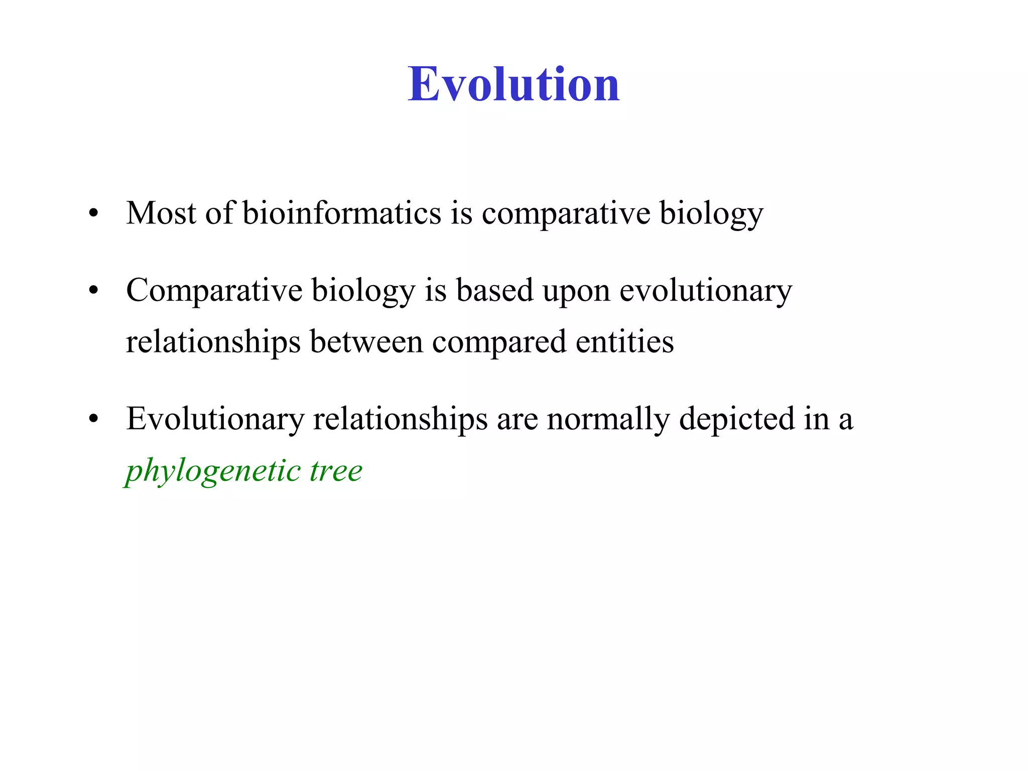 Phylogeny-Abida.pptx