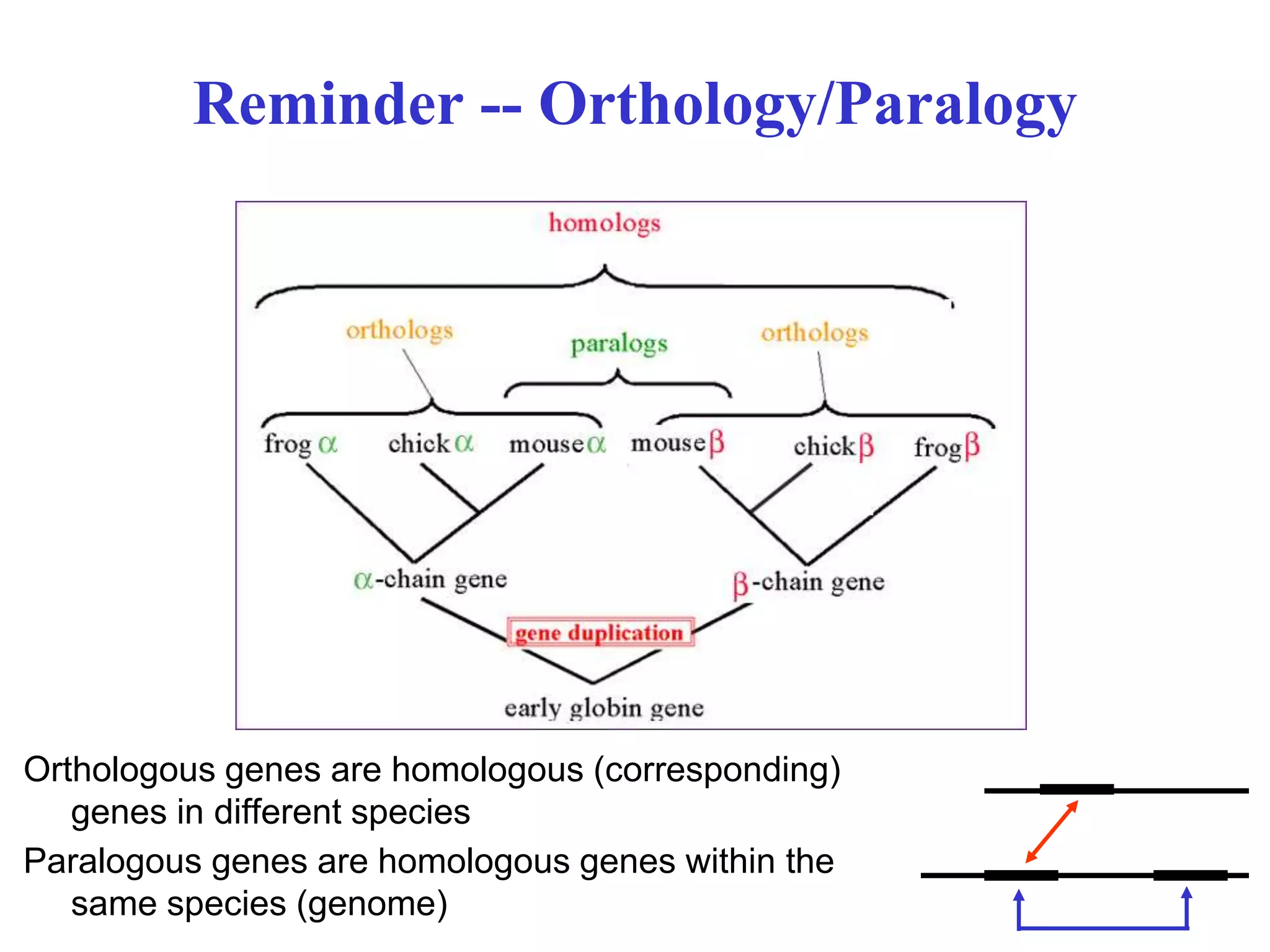 Phylogeny-Abida.pptx
