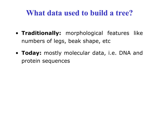 Phylogeny-Abida.pptx