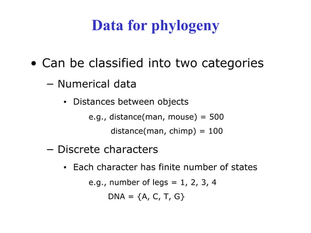 Phylogeny-Abida.pptx