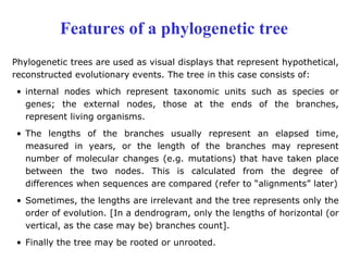 Phylogeny-Abida.pptx