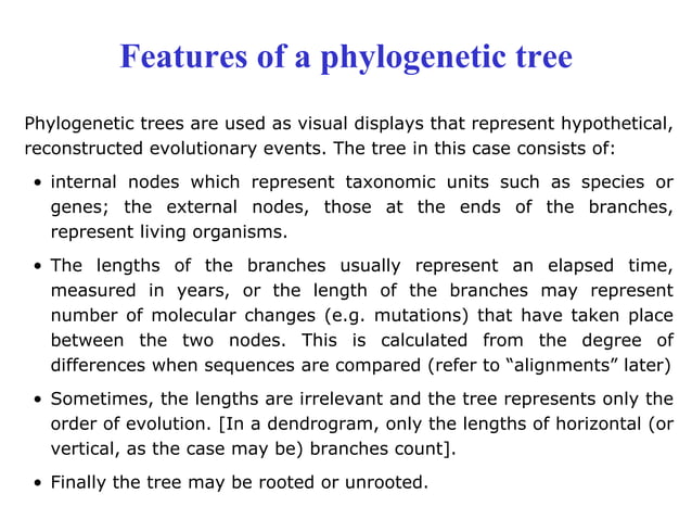 Phylogeny-Abida.pptx