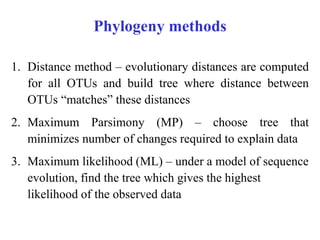Phylogeny-Abida.pptx