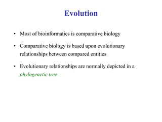 Phylogeny-Abida.pptx