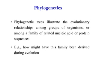 Phylogeny-Abida.pptx