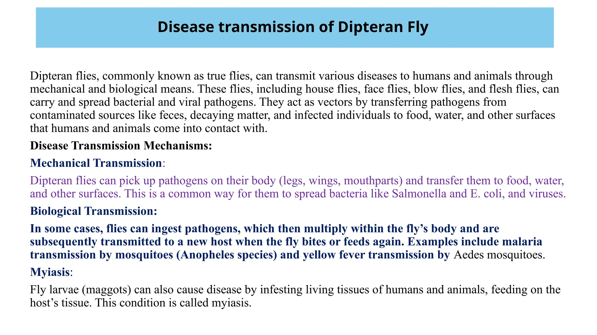 Phylogeny and disease transmission of Dipteran Fly (ppt).pptx