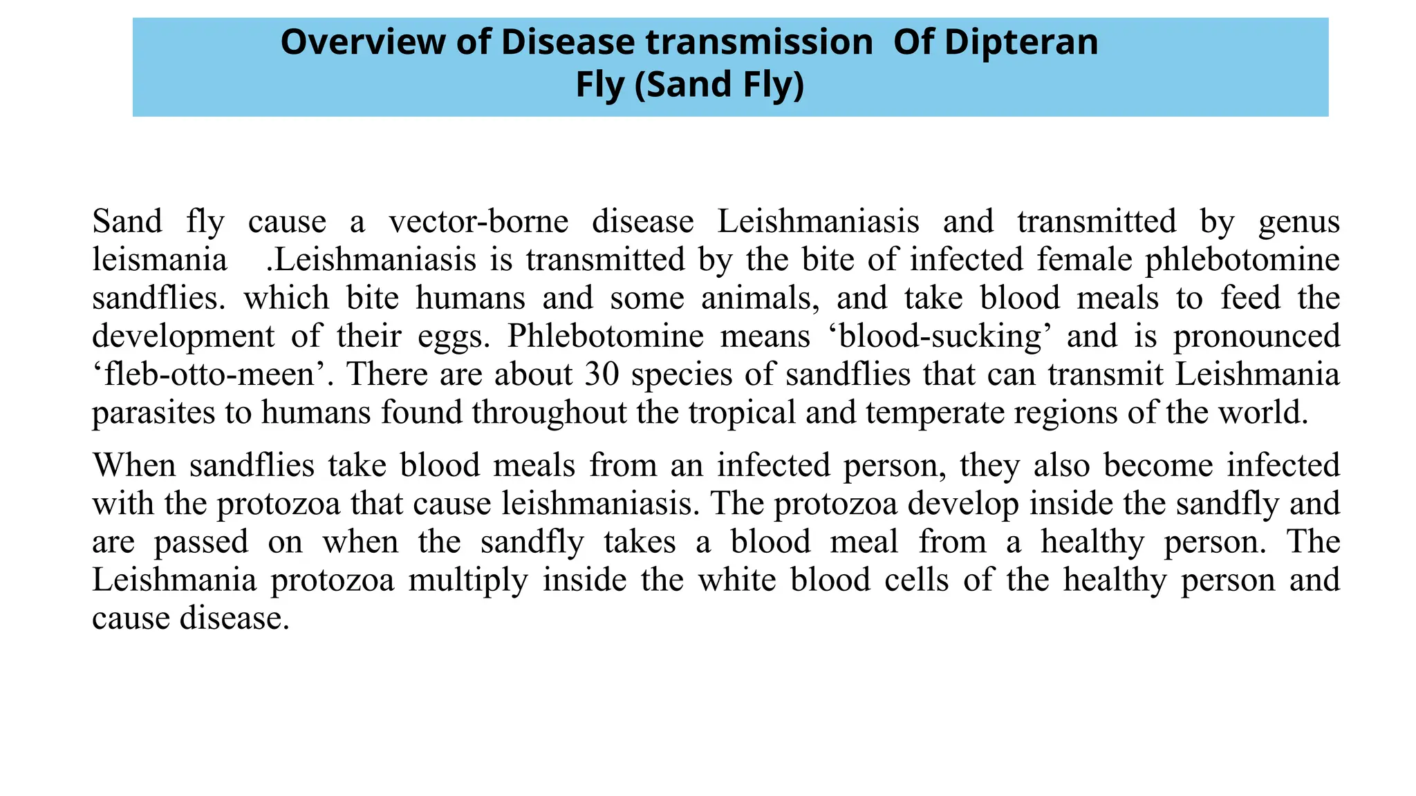 Phylogeny and disease transmission of Dipteran Fly (ppt).pptx