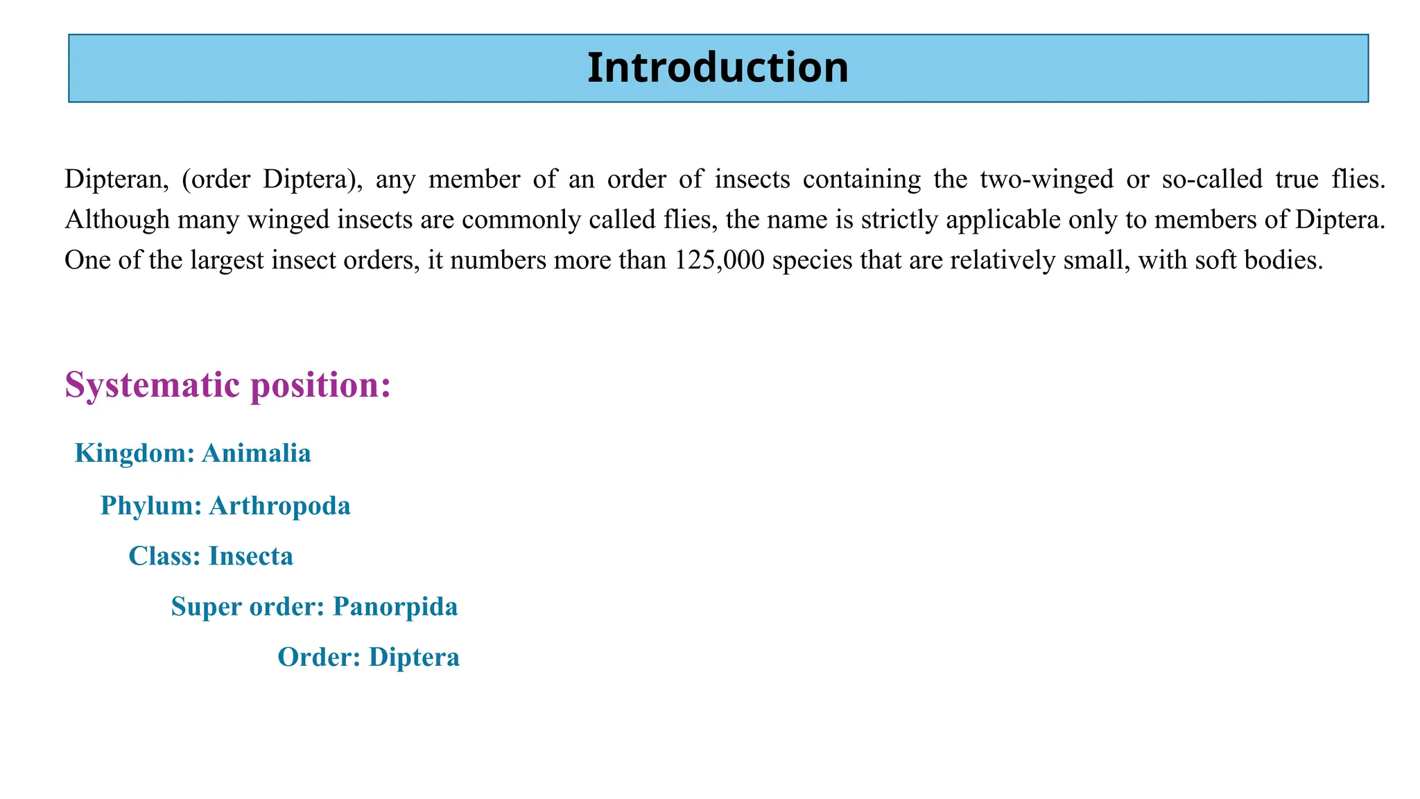 Phylogeny and disease transmission of Dipteran Fly (ppt).pptx