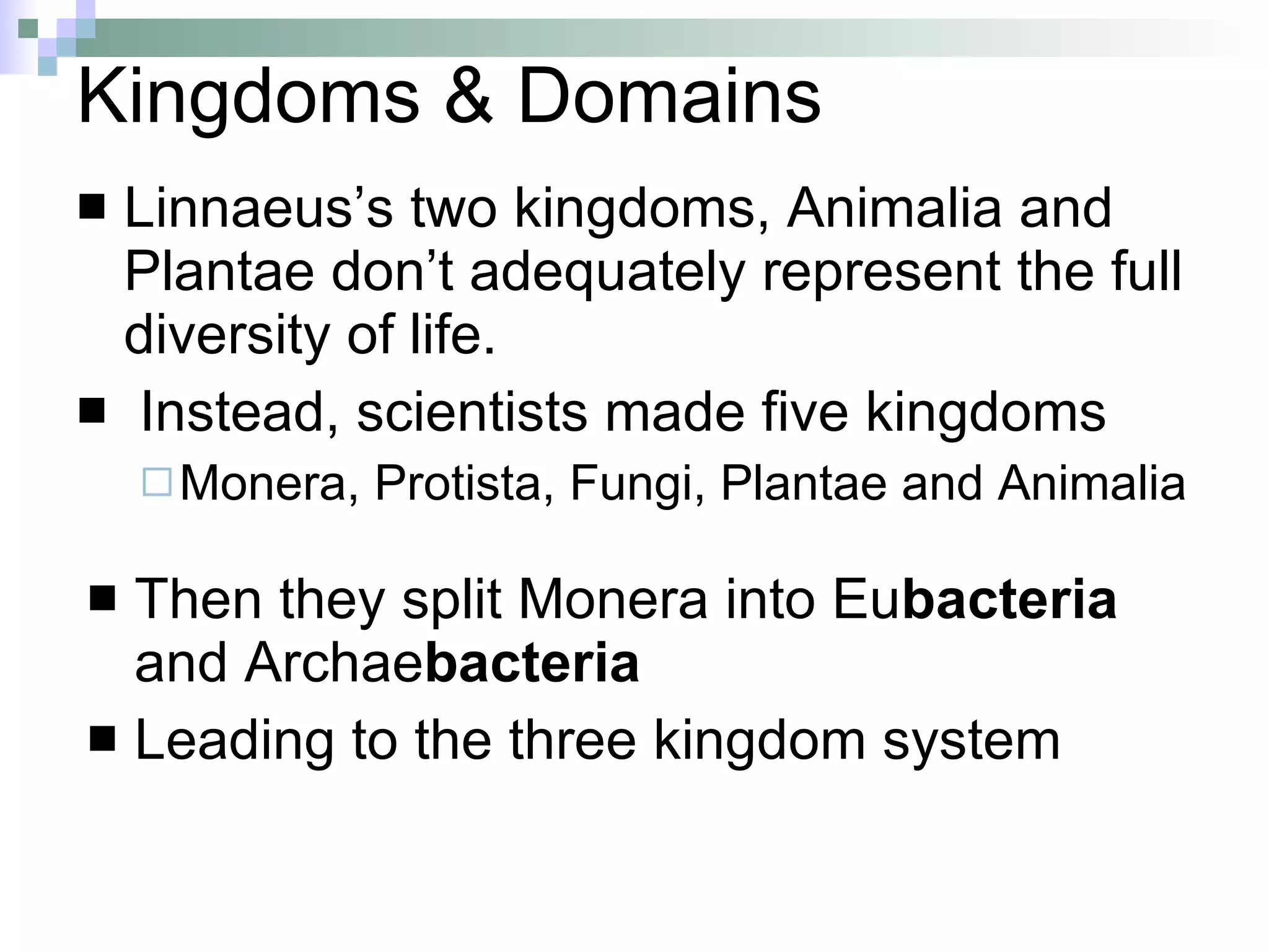 Phylogeny & classification | PPT